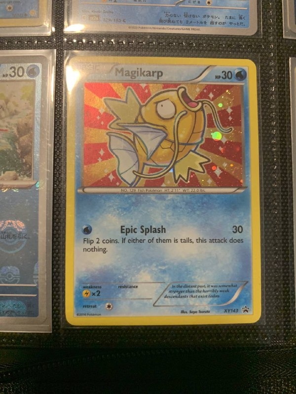 Shiny/Shining Magikarp XY143 Promo Holo, Hobbies & Toys, Toys & Games ...