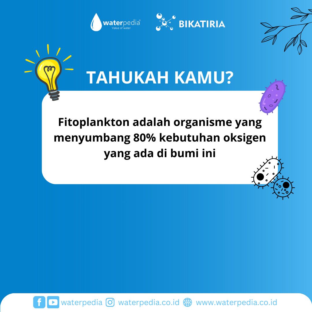 tahukah kamu? on Carousell tahukah kamu? on Carousell