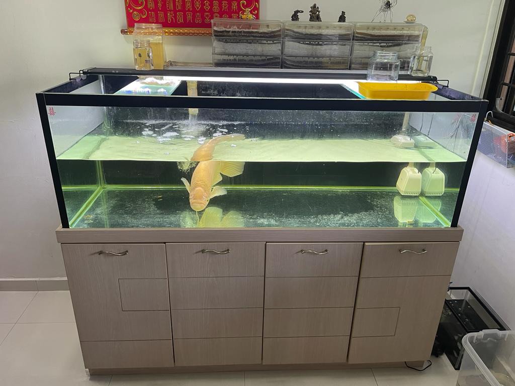 5ft fish tank, Pet Supplies, Homes & Other Pet Accessories on Carousell