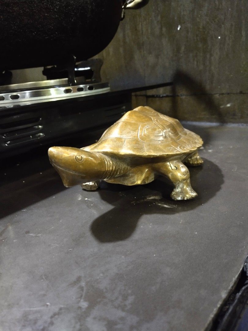 Brass turtle statue display, Hobbies & Toys, Memorabilia & Collectibles ...