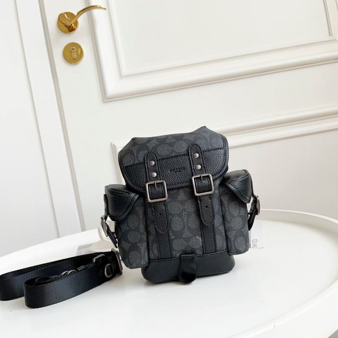 Coach CE506 Hitch Backpack 13 In Signature Canvas, Luxury, Bags ...