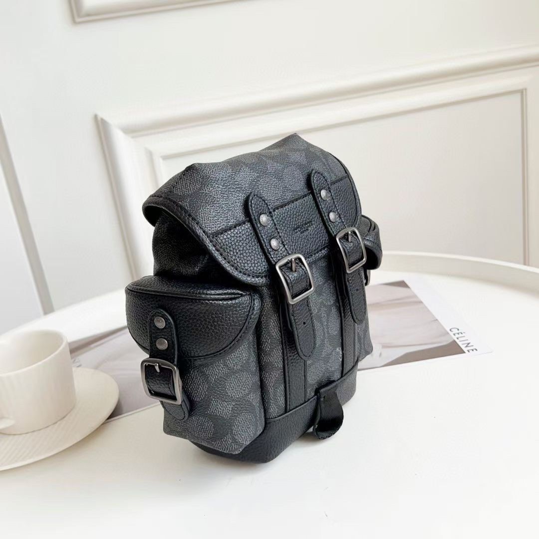 Coach CE506 Hitch Backpack 13 In Signature Canvas, Luxury, Bags ...