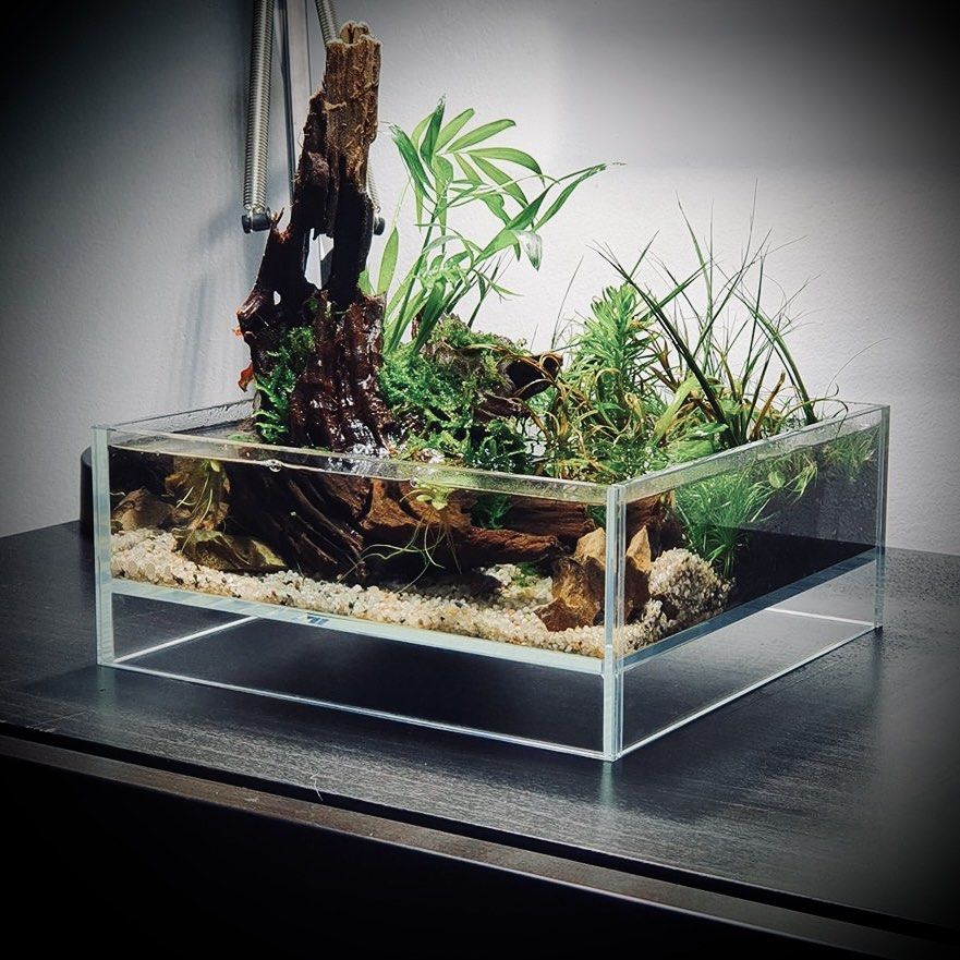 Dooa Tank Neo Glass Aquarium, Pet Supplies, Homes & Other Pet ...