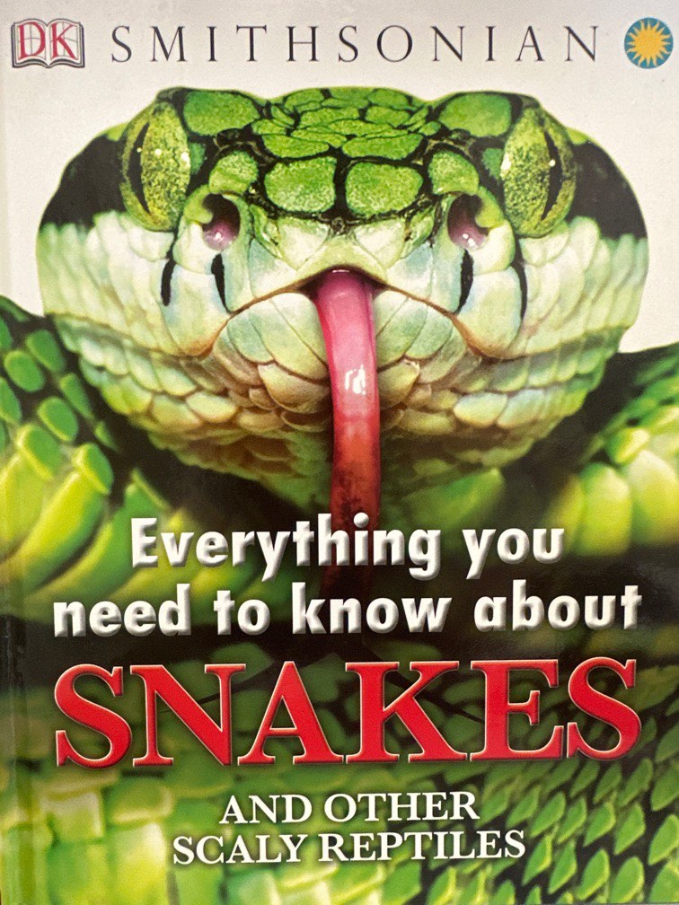 Everything you need to know about snake (DK), Hobbies & Toys, Books ...