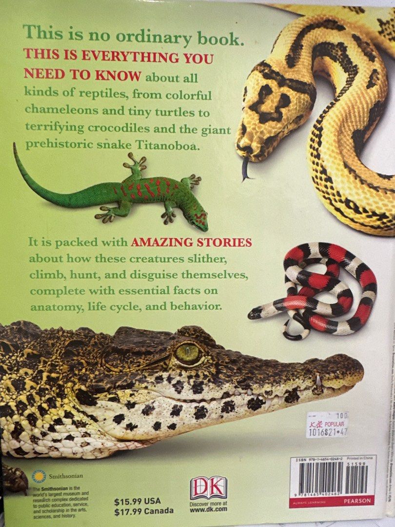 Everything you need to know about snake (DK), Hobbies & Toys, Books ...