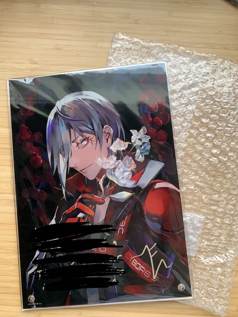 Fulgur Ovid Birthday Acrylic Panel & Badge Set, Hobbies & Toys ...