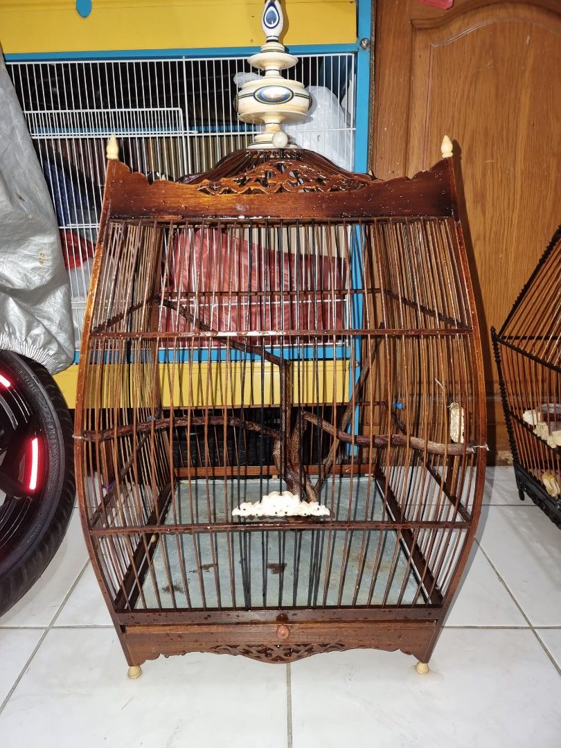 Jambul Square Cage, Pet Supplies, Homes & Other Pet Accessories on Carousell