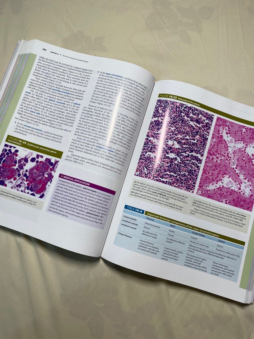 Junqueira's Basic Histology Text & Atlas 15th Edition by Anthony ...
