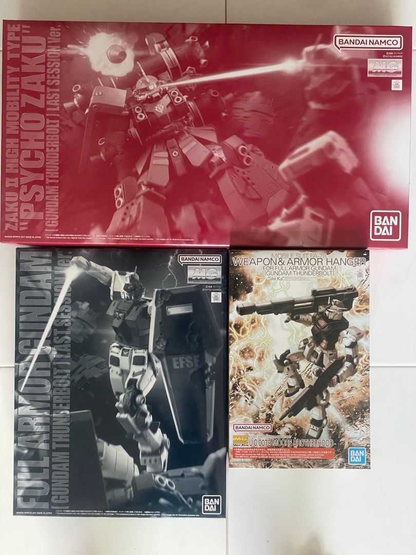 MG UC Gundam GUNDAM THUNDERBOLT LAST SESSION, Hobbies & Toys, Toys & Games on Carousell