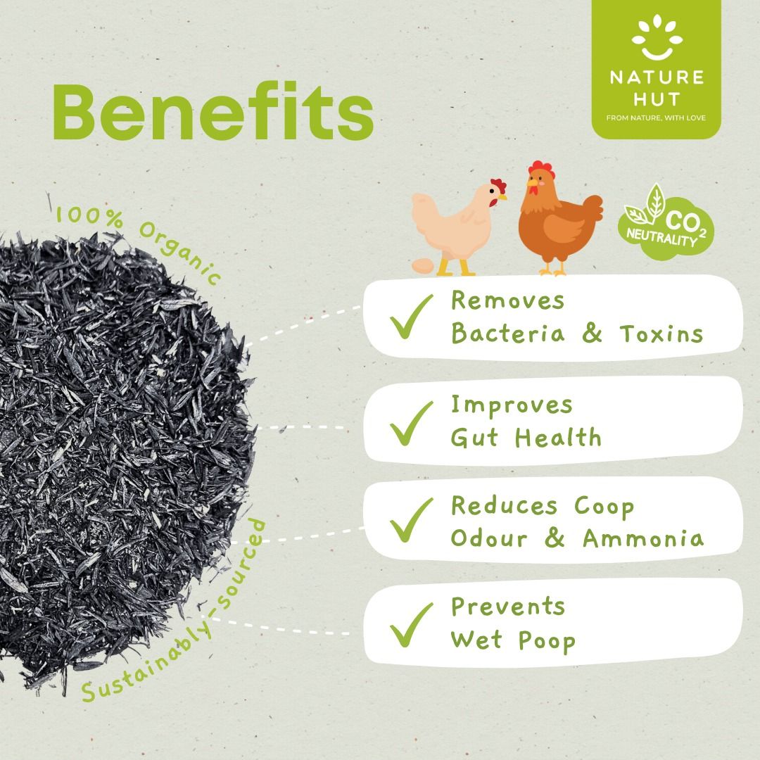Nature Hut Organic Biochar Chicken Feed Supplement (2L) - Can mix with ...