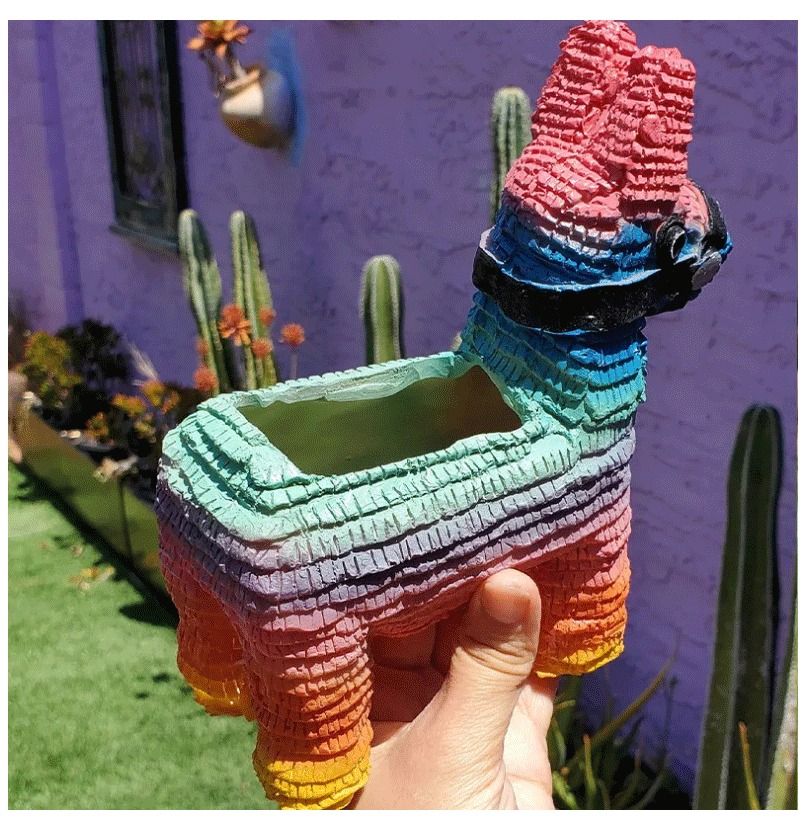 Rainbow Pinata Desktop Planter (13cm x 10cm x 5cm), Furniture & Home ...