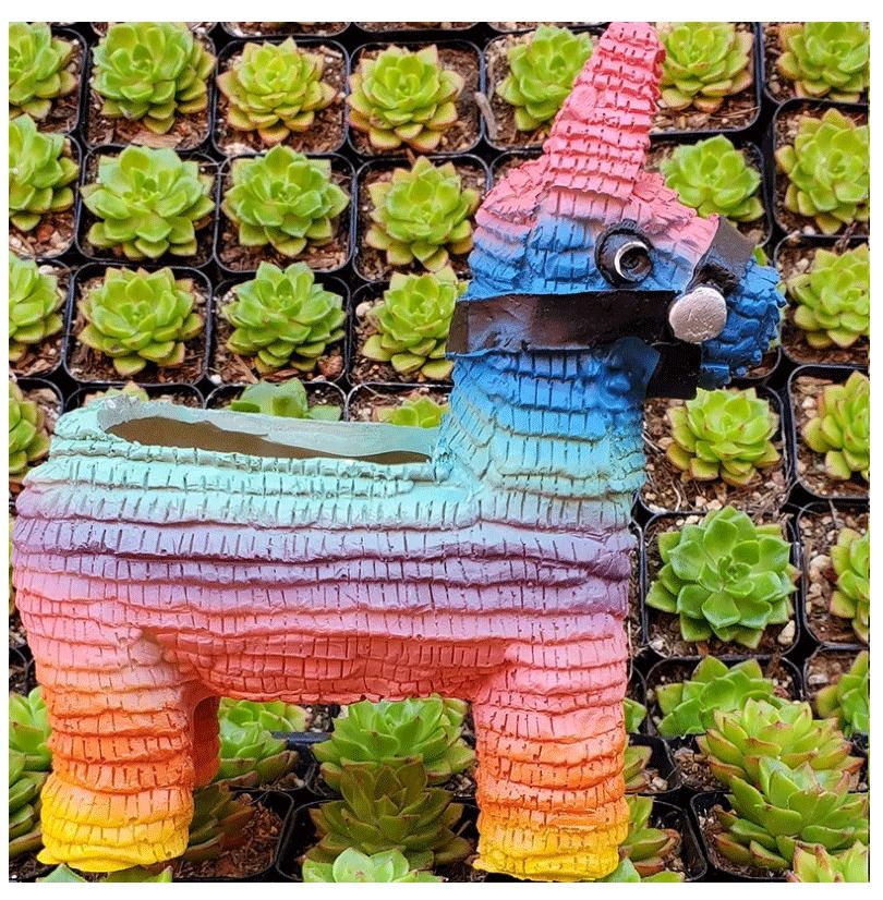 Rainbow Pinata Desktop Planter (13cm x 10cm x 5cm), Furniture & Home ...