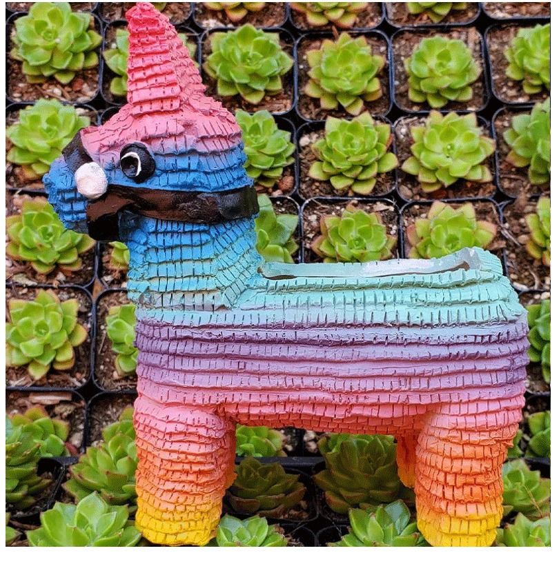 Rainbow Pinata Desktop Planter (13cm x 10cm x 5cm), Furniture & Home ...