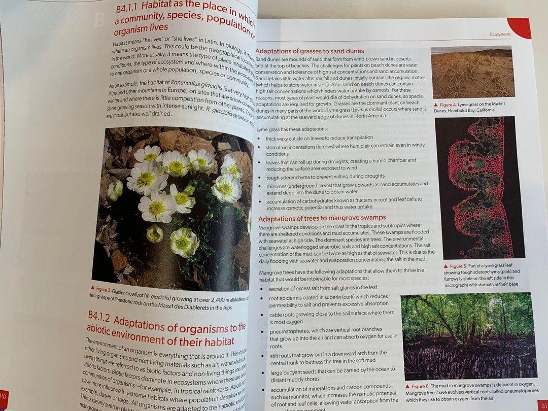 2023 Edition Oxford IB Biology Course Companion textbook, 興趣及遊戲, 書本 ...