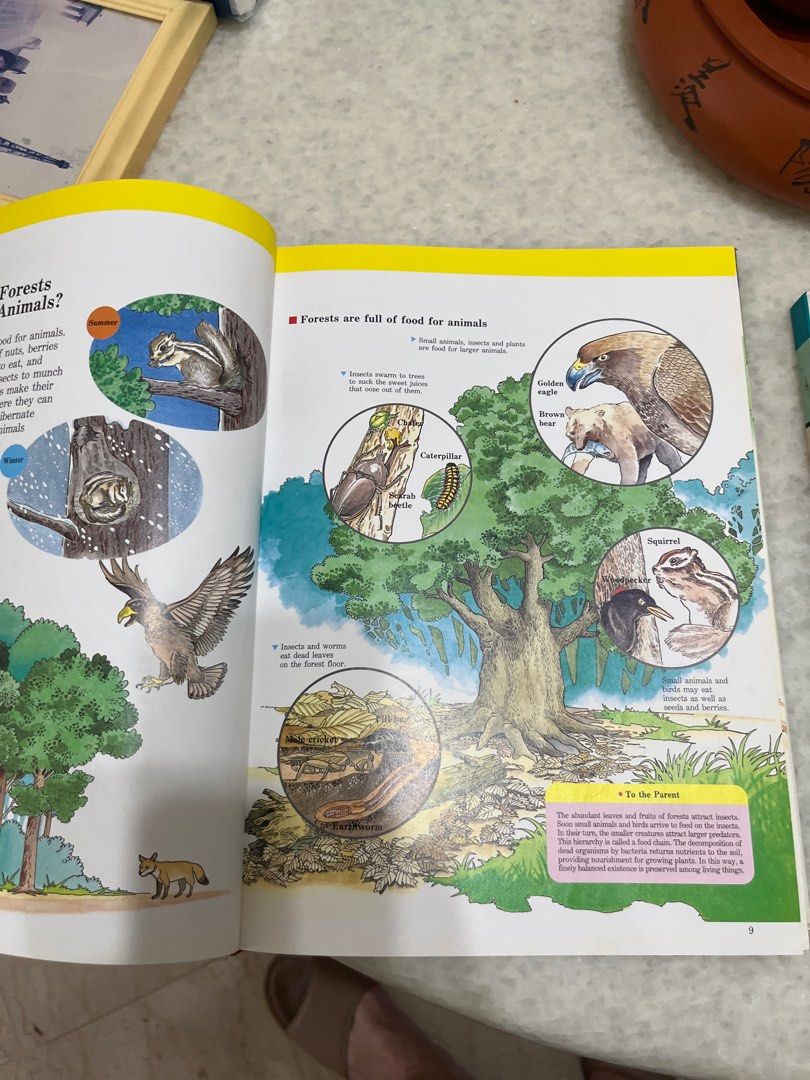 A Child’s first library of learning, Hobbies & Toys, Books & Magazines ...