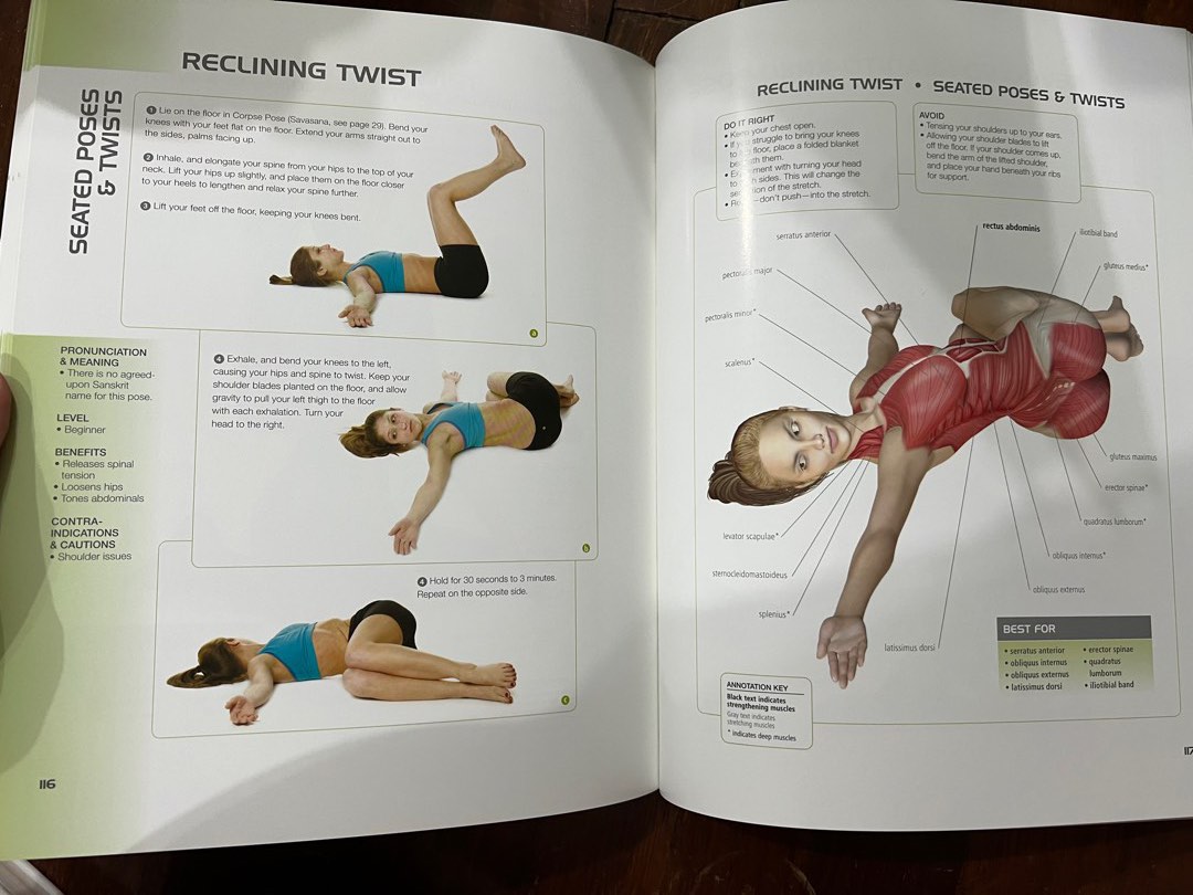 Anatomy Of Yoga Poses: Sự Cấu Trúc Từng Động Tác Yoga - Barkmanoil.com