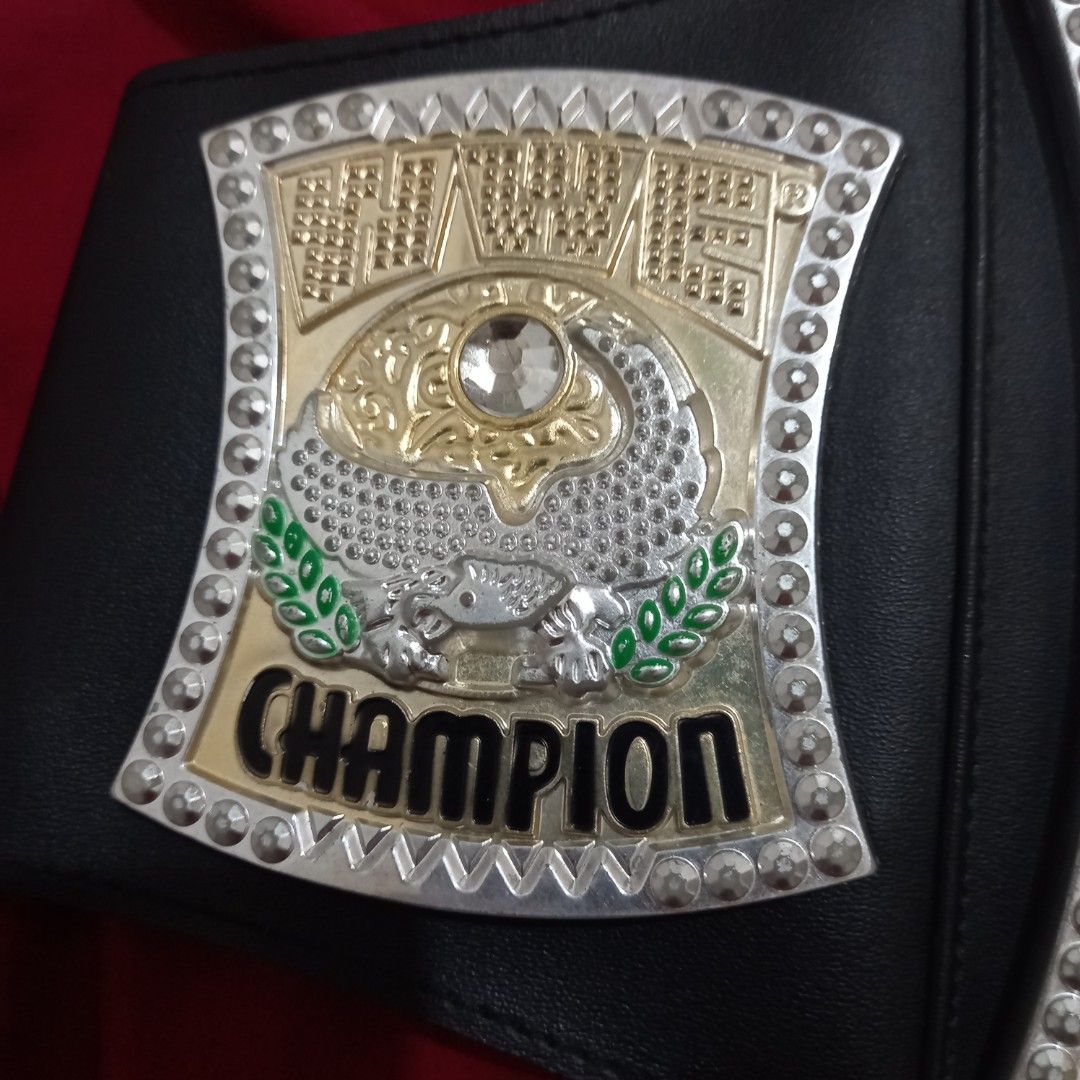 Authentic Mattel WWE Championship Belt for Kids on Carousell