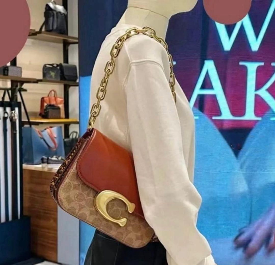 Coach Limited Edition Idol Bag (Women Crossbody Sling Shoulder Chain Bag), Women's Fashion, Bags ...