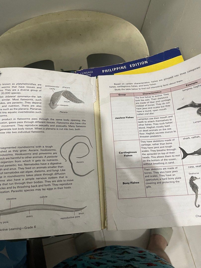 grade 6 science for active learning on Carousell
