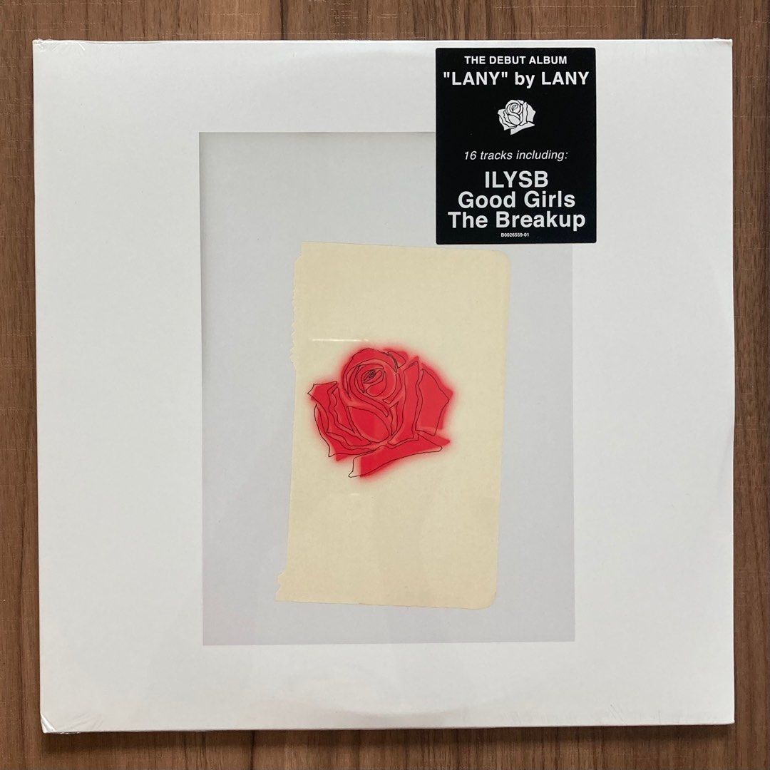 Lany - Lany (2LP) vinyl, Hobbies & Toys, Music & Media, Vinyls on Carousell
