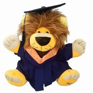 NUS Graduation Lion 2022 with removable mask, Hobbies & Toys ...