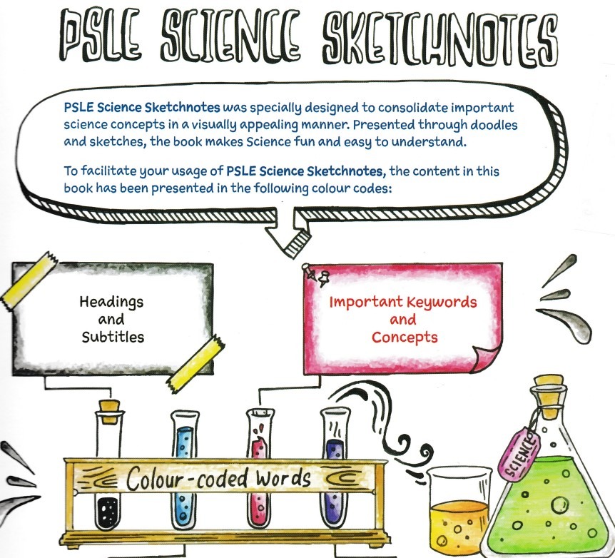 PSLE Science Sketchnotes, Hobbies & Toys, Books & Magazines, Assessment ...