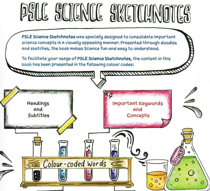 PSLE Science Sketchnotes, Hobbies & Toys, Books & Magazines, Assessment ...