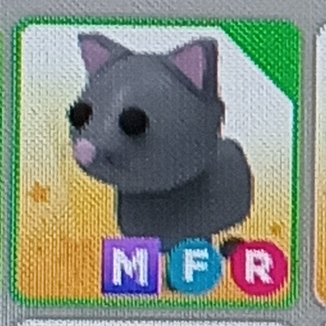 Roblox Adopt Me Nfr nfr Cat cat, 電子遊戲, 電子遊戲, 其他 - Carousell