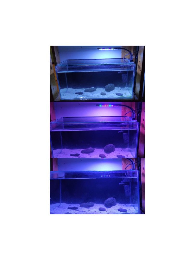 Slim aquarium fish tank set come with lid, light and filter, Pet ...