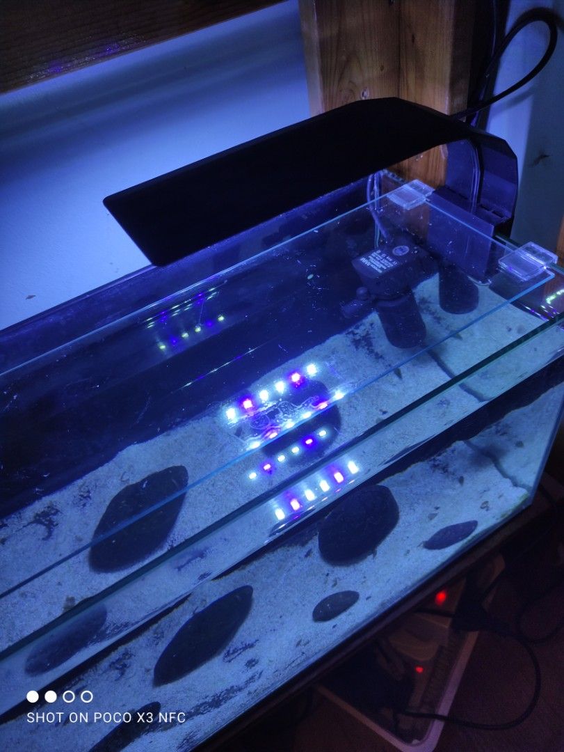 Slim aquarium fish tank set come with lid, light and filter, Pet ...