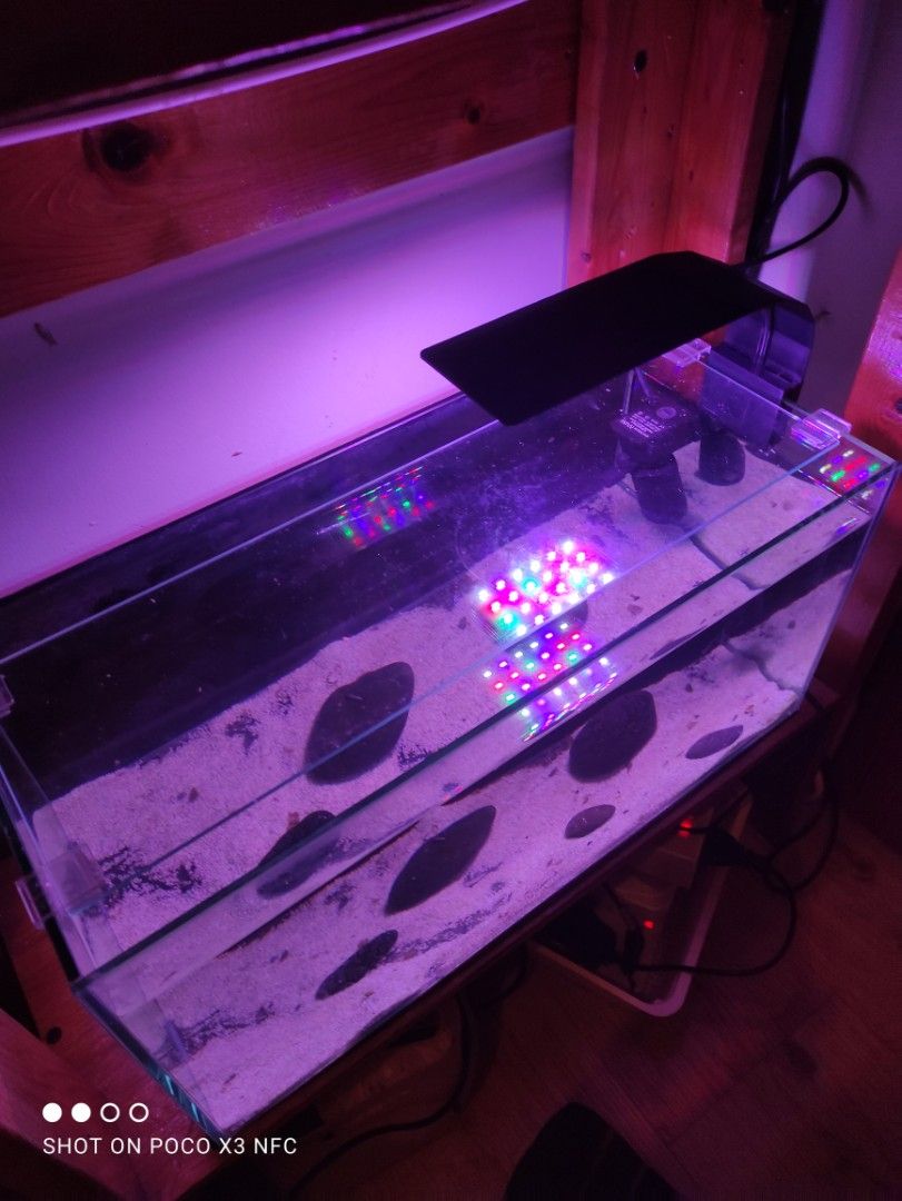 Slim aquarium fish tank set come with lid, light and filter, Pet ...