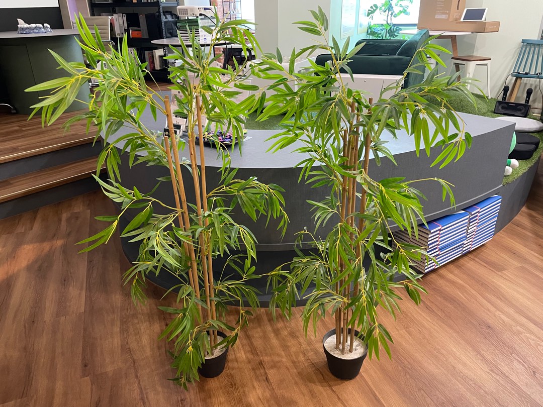 2 sets of man made bamboo plants, Furniture & Home Living, Home Decor ...