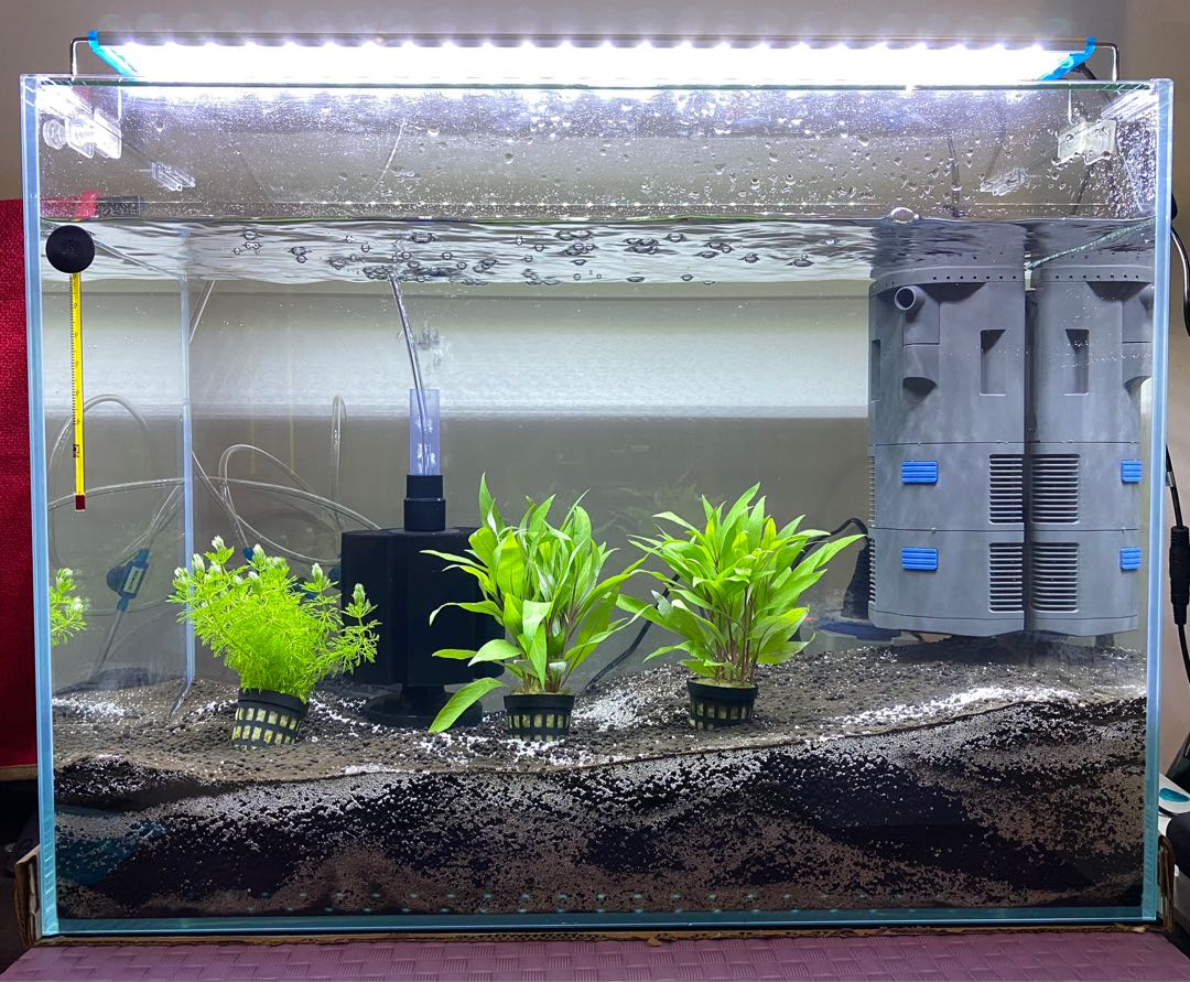 2ft crystal glass tank 60x30x45, Pet Supplies, Homes & Other Pet ...