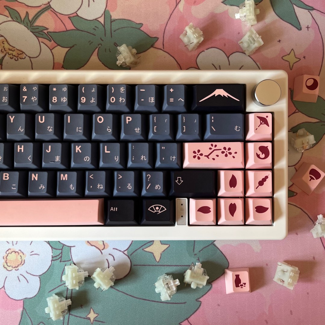 65% custom mechanical keyboard gmk67 (fully modded and built ...