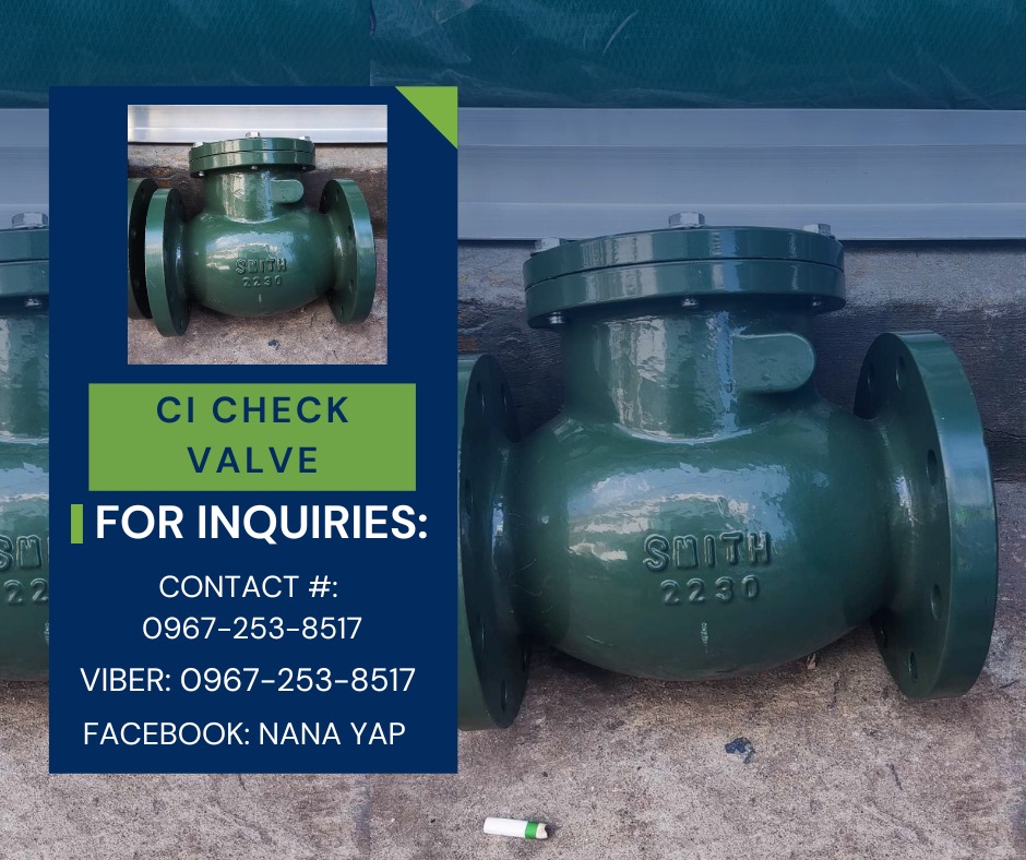 CI CHECK VALVE on Carousell