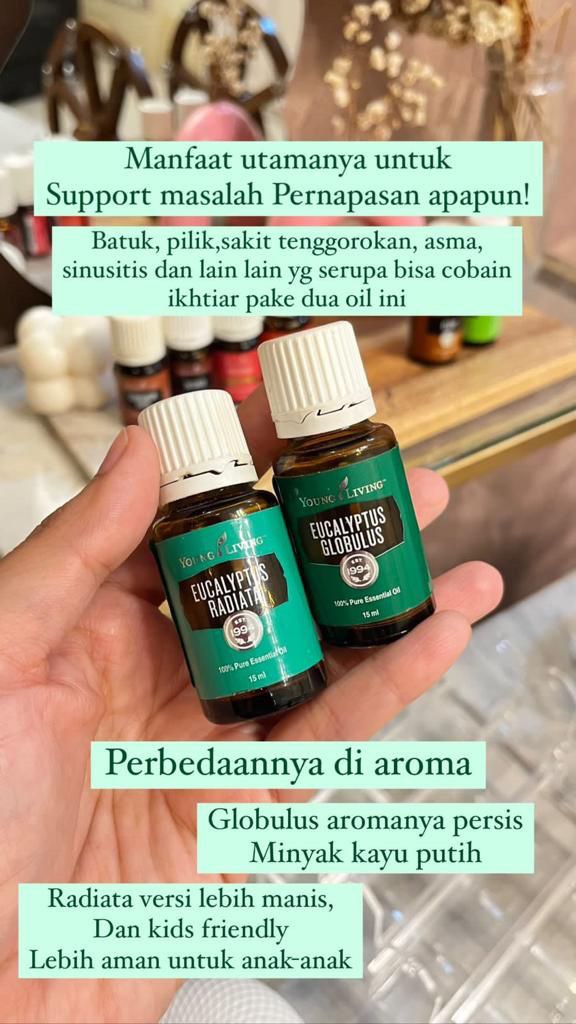 Eucalyptus Globulus, Kesehatan & Kecantikan, Kulit, Sabun & Tubuh di ...