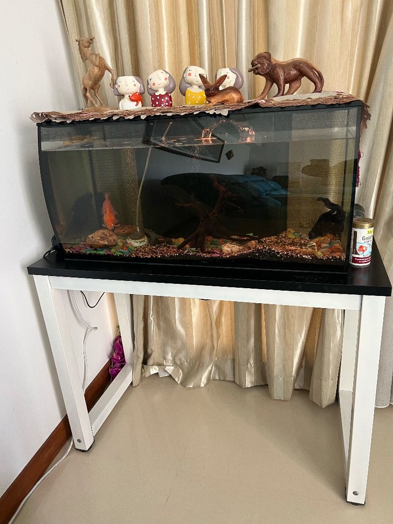 Fluval Flex ALL-IN-ONE Aquarium Kit 123L with automatic feeder, Pet ...