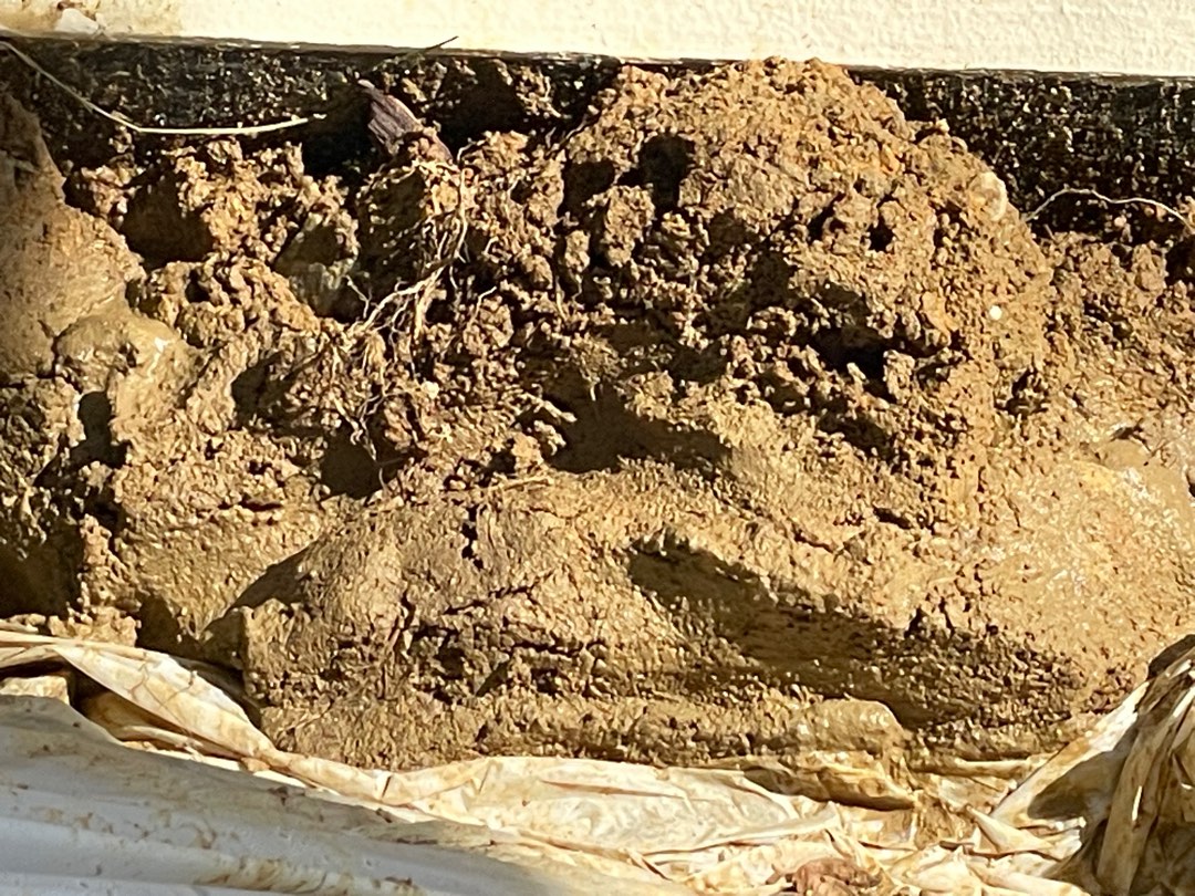 Free Gardening Soil. Bring bags and take it all., Furniture & Home ...