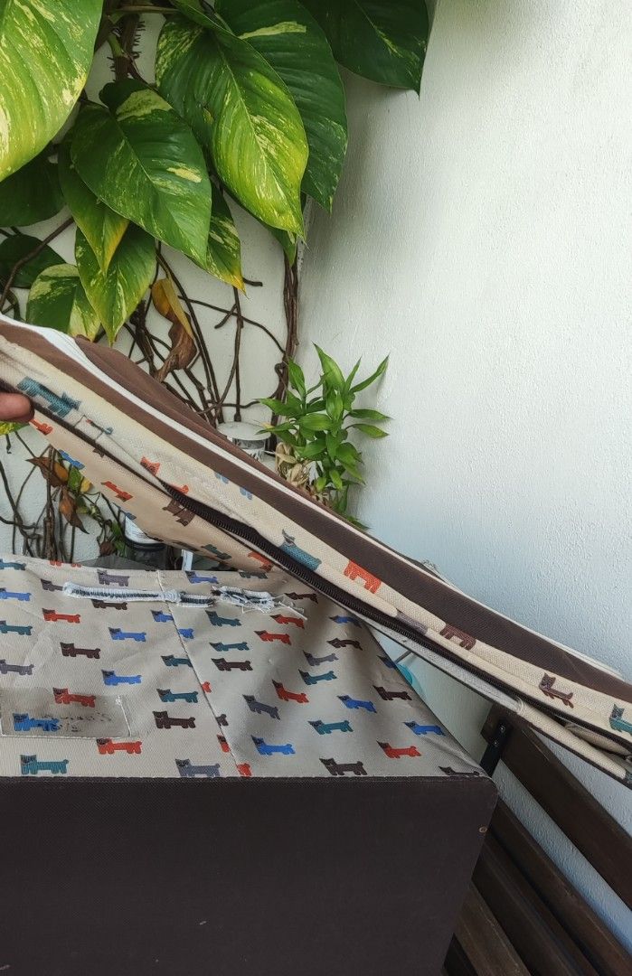 Kaison Foldable Box / Kitten Portable Box, Men's Fashion, Watches ...