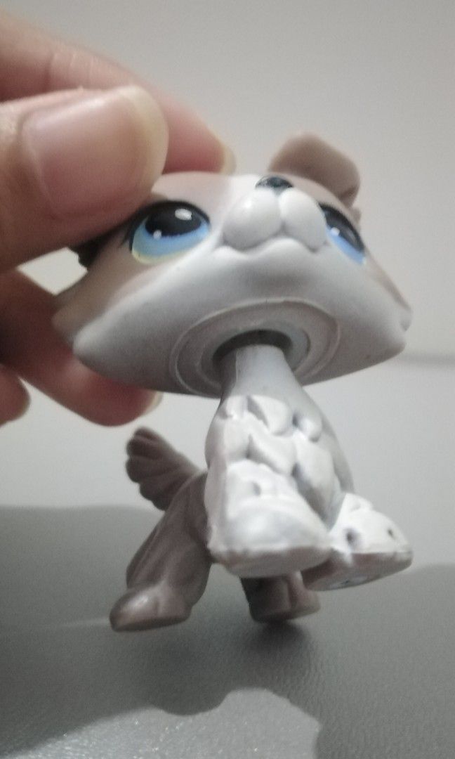 LPS collie, Hobbies & Toys, Toys & Games on Carousell