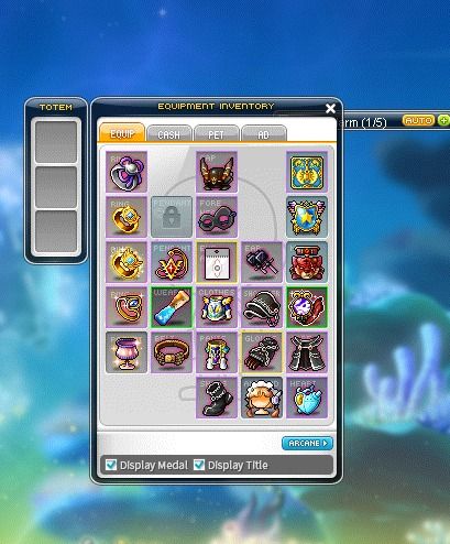 Maplesea Aran Account lvl 232 with welcome back ring,perm tp rock , all ...