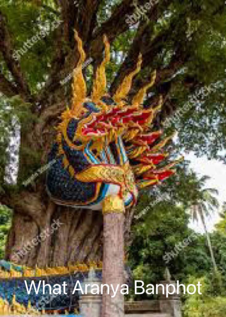 Nur Phong / Thong Deang Wat Aranya Banphot, Hobbies & Toys, Memorabilia ...