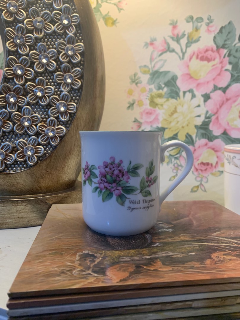 ROYAL WORCESTER HERBS Mug, Furniture & Home Living, Kitchenware ...