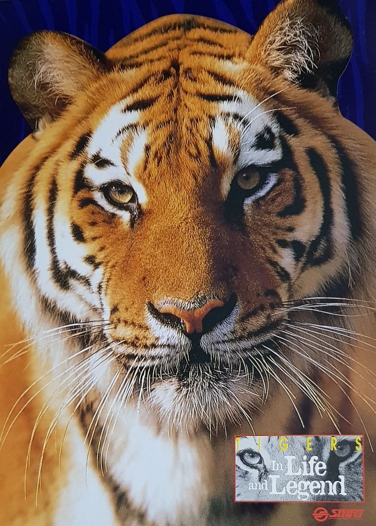 Singapore MRT Ticket Collection - Thematic Edition "Tigers - In Life ...