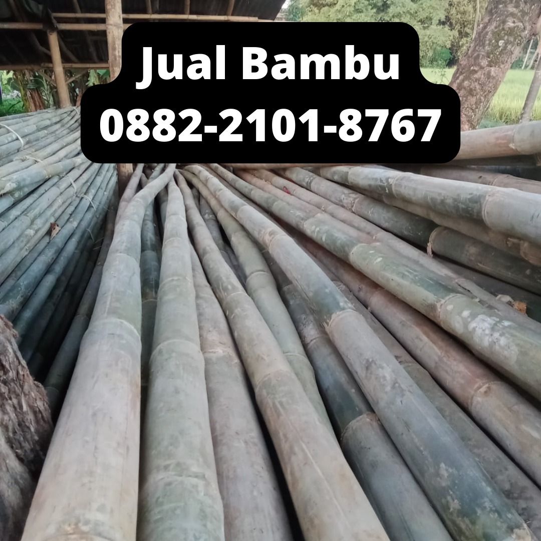 tempat jual bambu terdekat 0882 2101 8767, Desain & Kerajinan Tangan ...