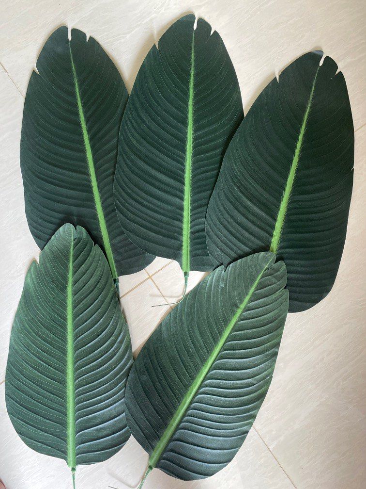 Tropical bananas leaves deco, Furniture & Home Living, Home Decor ...