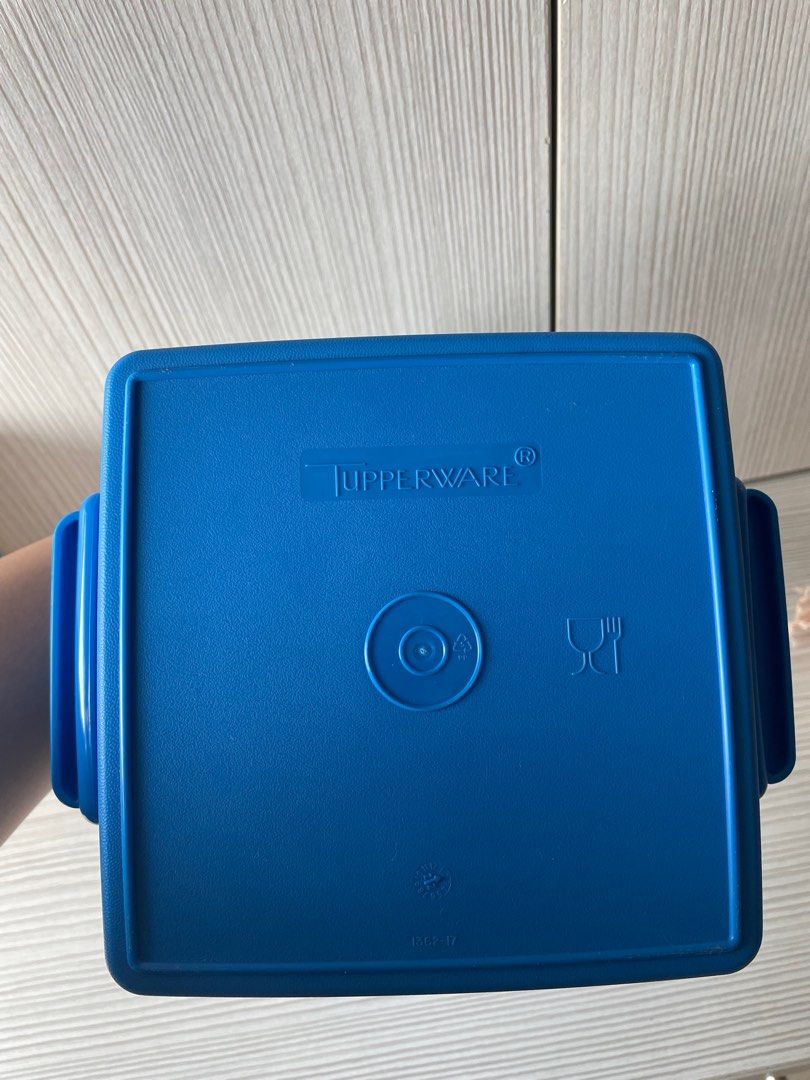 Tupperware - Small Goody Box with Carolier, Furniture & Home Living ...