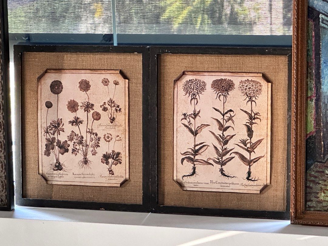 Vintage botanical Painting, Furniture & Home Living, Home Decor, Frames ...