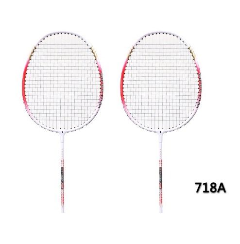 2PCS Set REGAIL 718A Ultralight Badminton Racket Professional Indoor ...