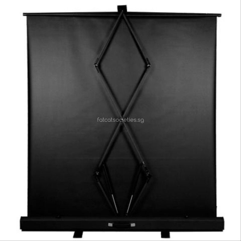80" Portable Floor Pull Up Projector Screen (Retractable), TV & Home ...